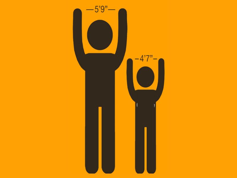 How To Measure Your Reach Requirement | Tree to Tree Adventure Park